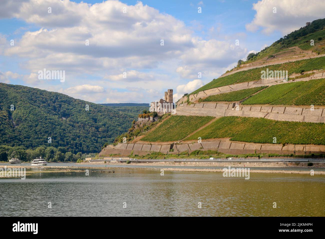 Scenes from the vineyard hi-res stock photography and images - Alamy