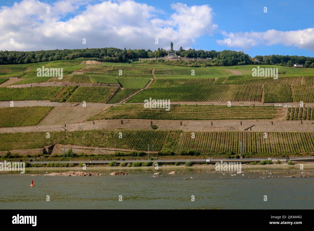 Scenes from the vineyard hi-res stock photography and images - Alamy