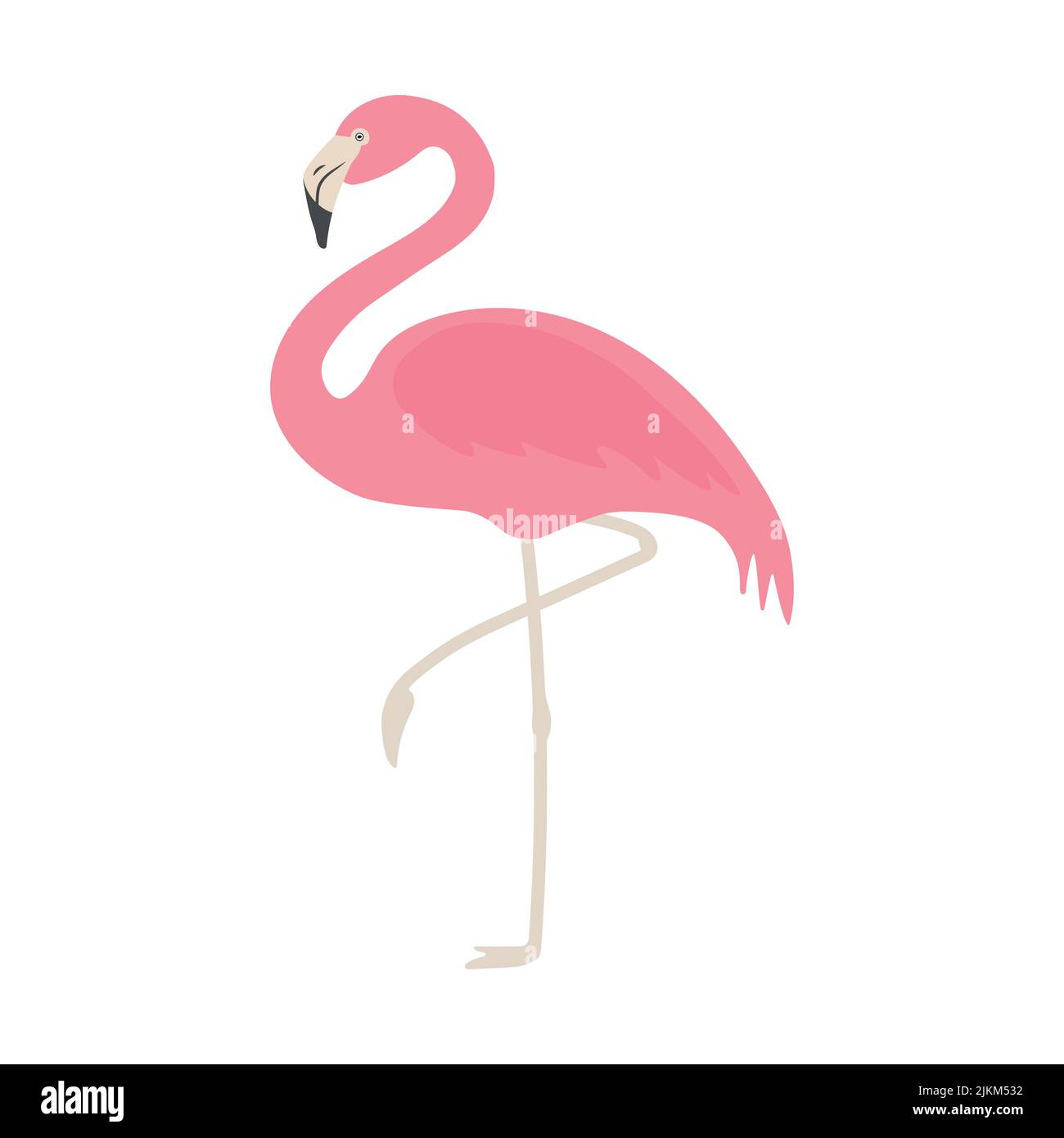 Vector flat flamingo isolated on white background Stock Vector Image ...