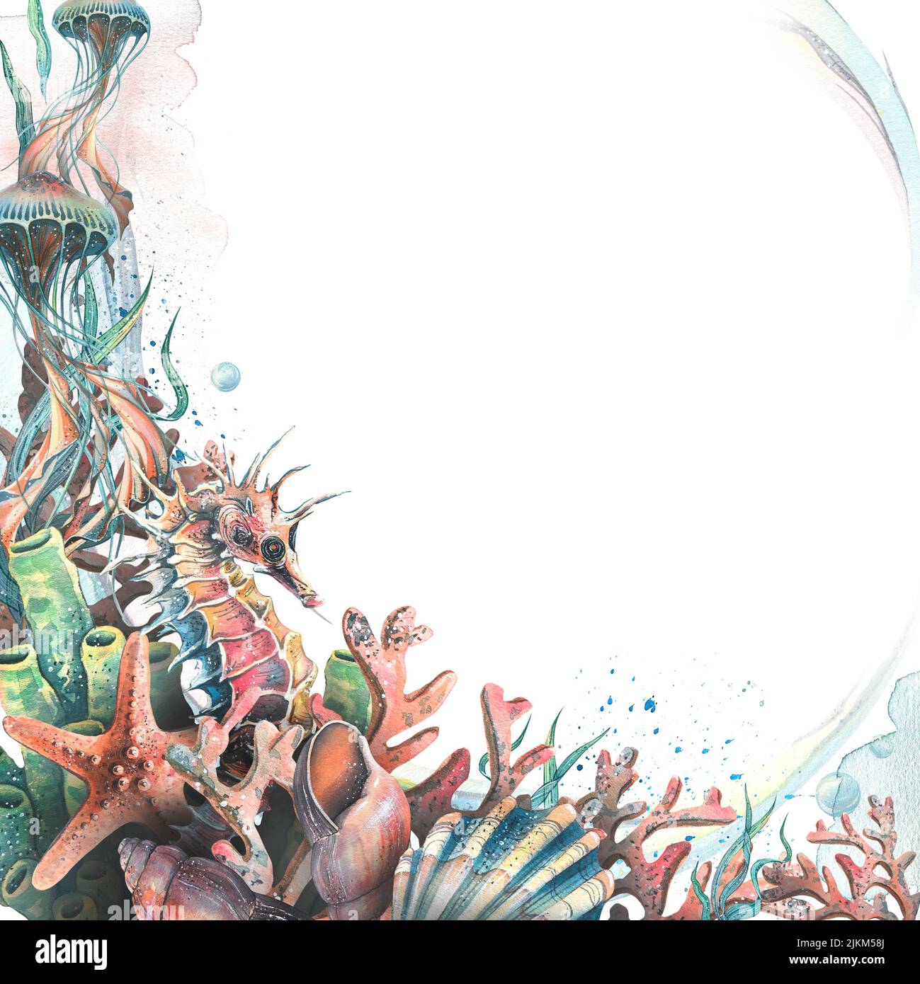 Corner frame with seashells, seahorse, starfish, algae, jellyfish ...
