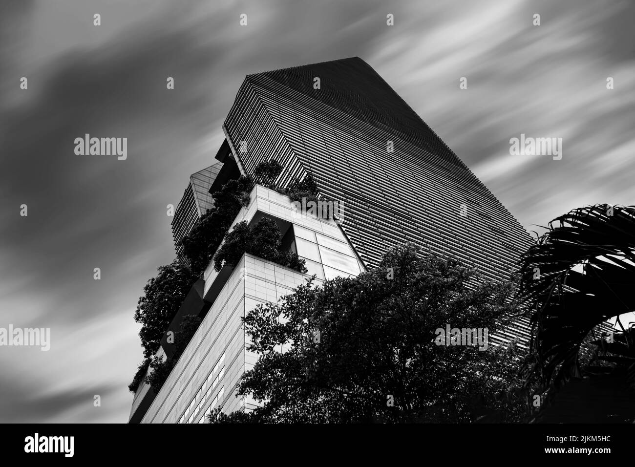 a low angle shot of glass building with bushes on it in grayscale Stock ...