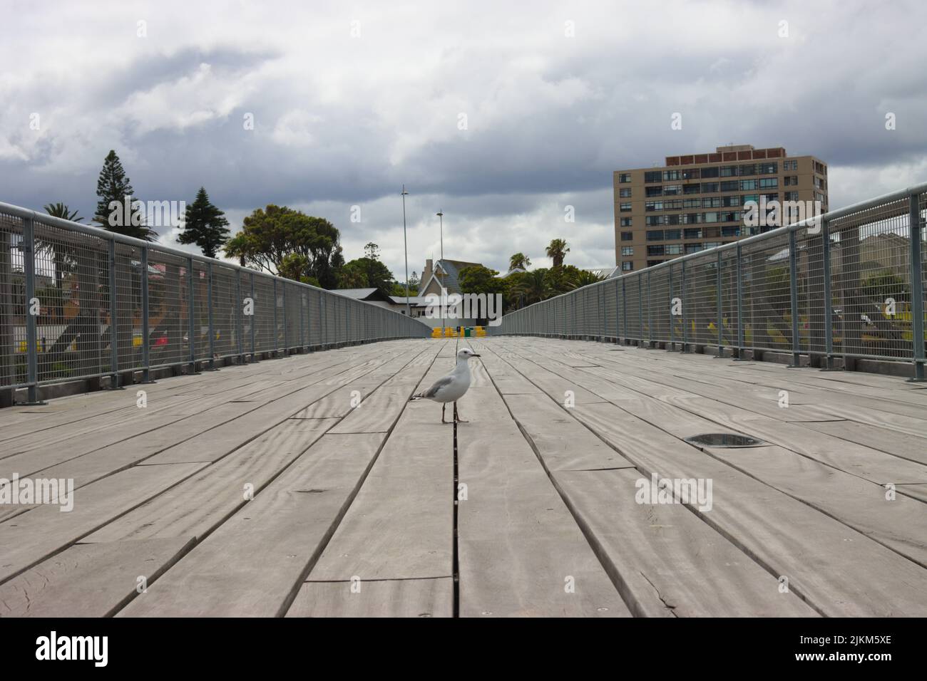 The wooden bridge at sunset from Milnerton lagoon, Cape Town, South ...