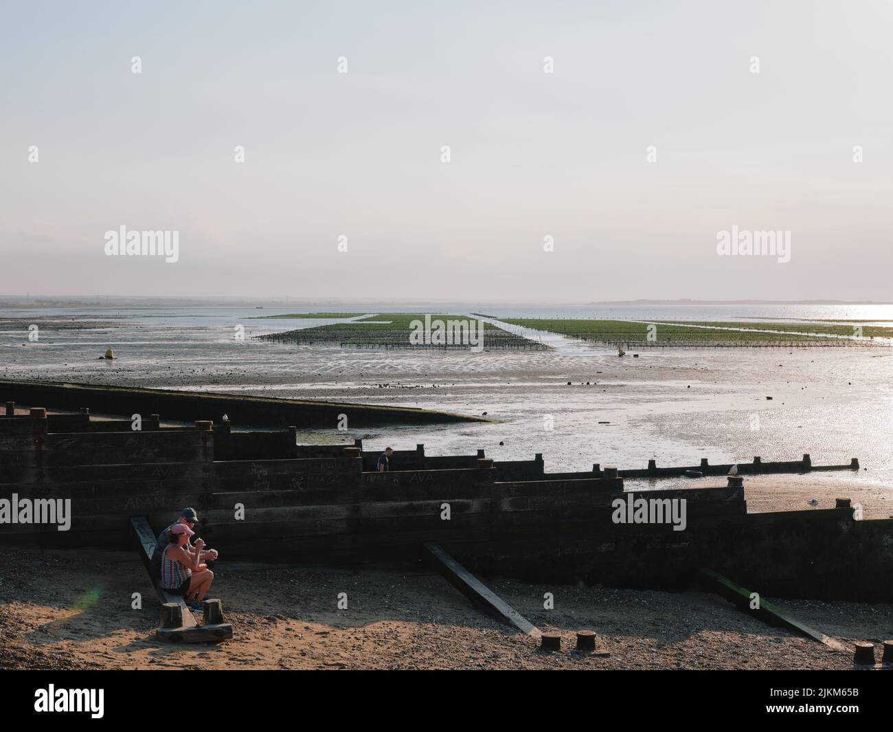 The famous oyster beds at low tide in Whitstable Kent England UK ...
