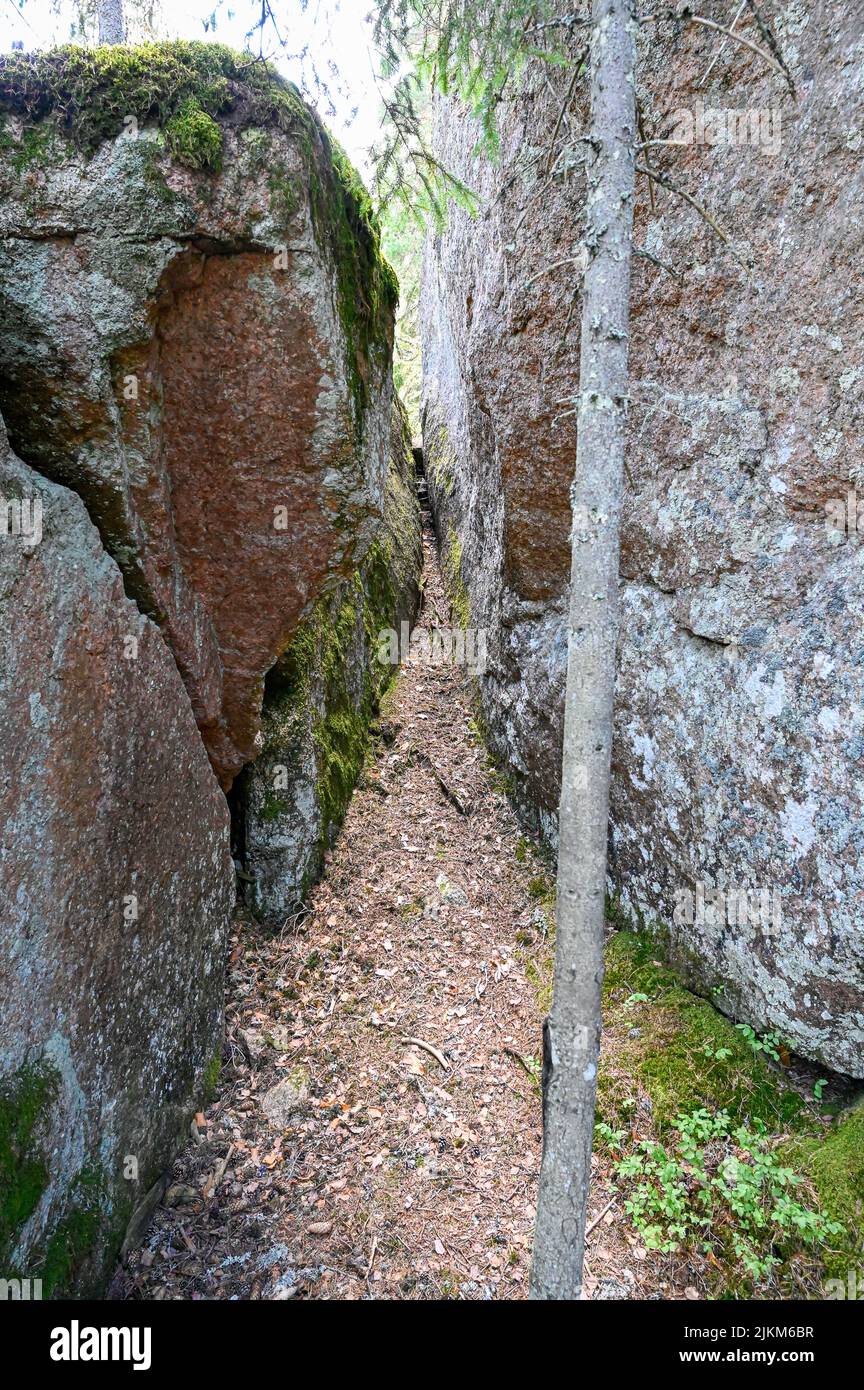 Forestpath hi-res stock photography and images - Alamy