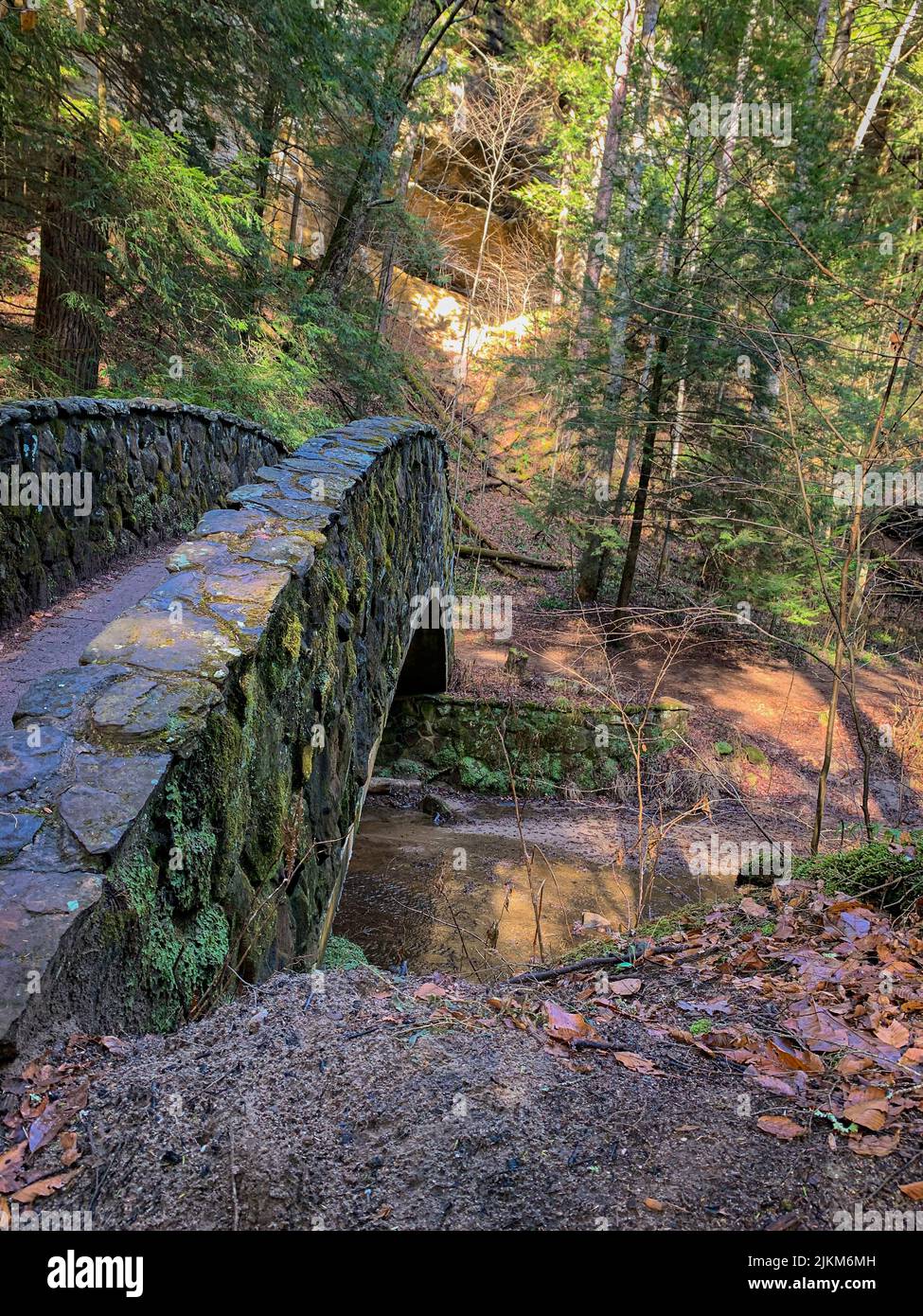 Mossy stream in forest hi-res stock photography and images - Alamy