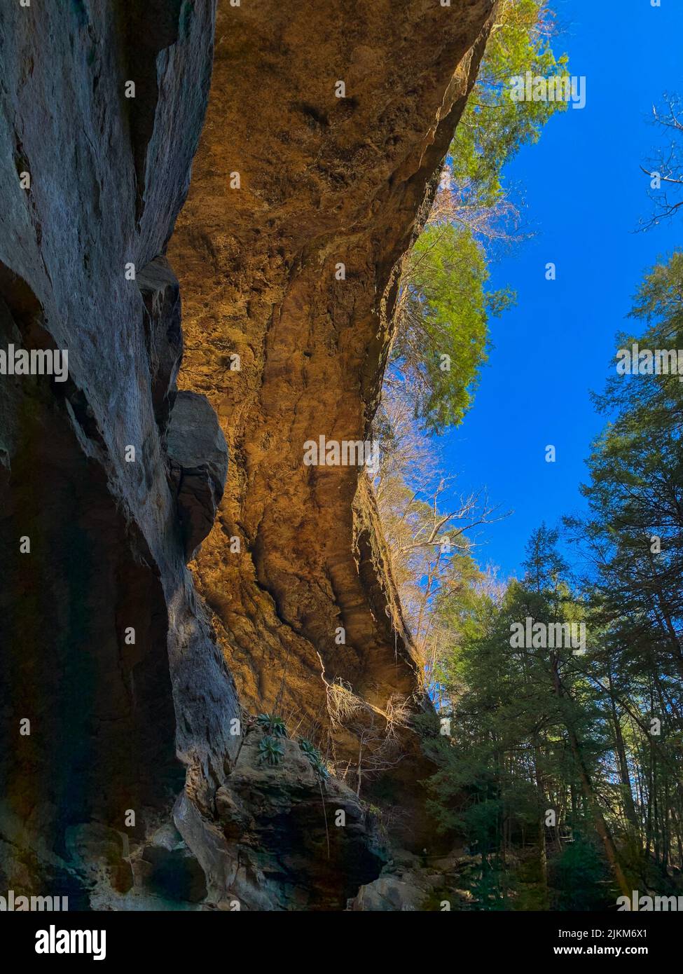 A vertical shot of a cave in the forest with fir trees under the blue ...