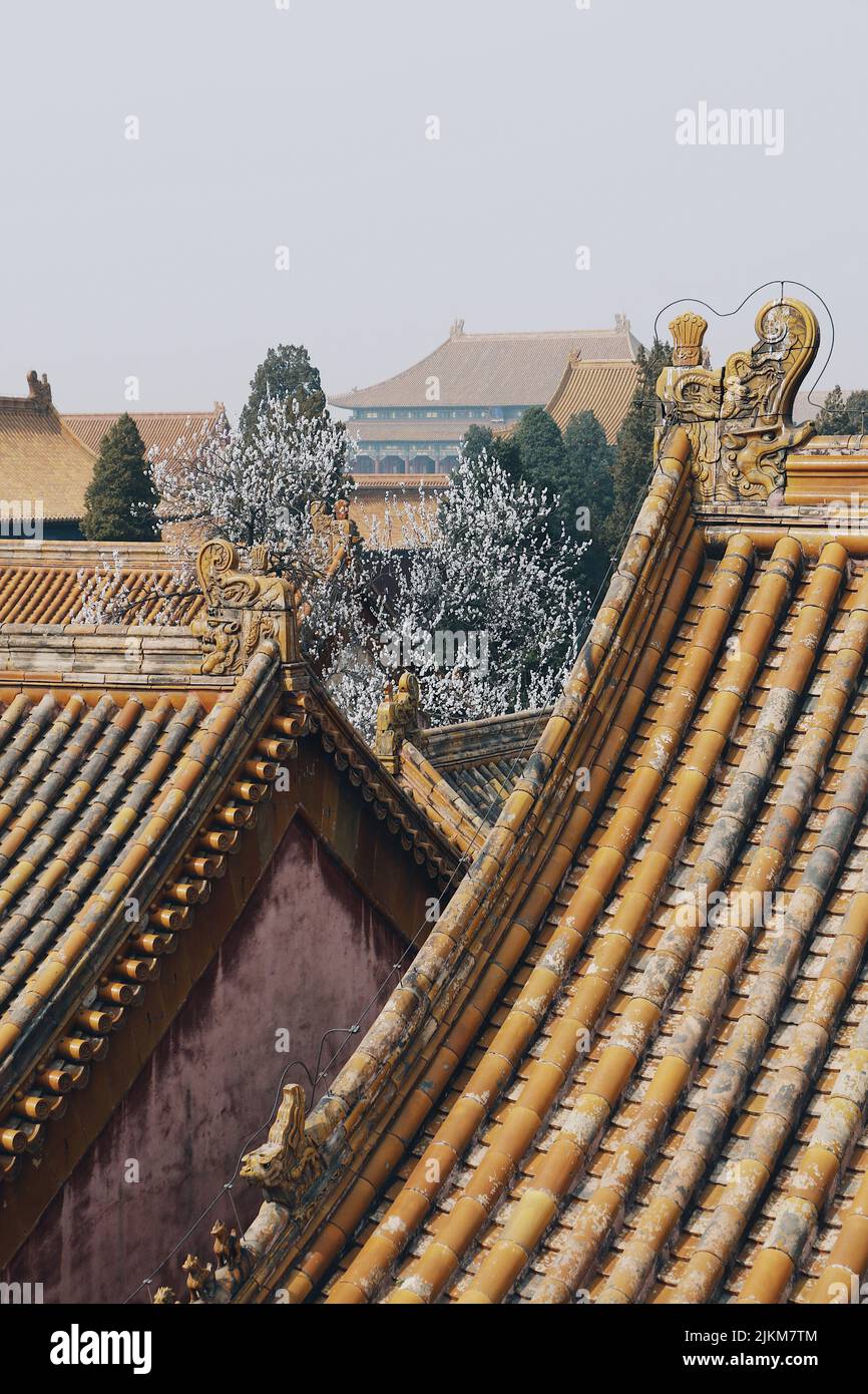 A vertical shot of the roofs of old Asian temples under the clear sky ...