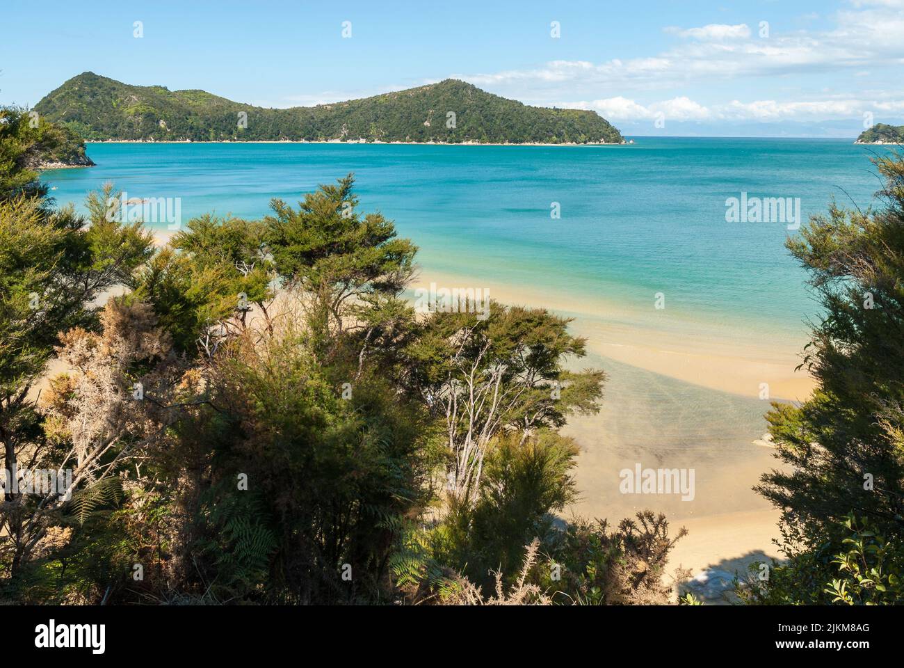 Apple Tree Bay Abel Tasman National Park South Island New Zealand Stock Photo - Alamy