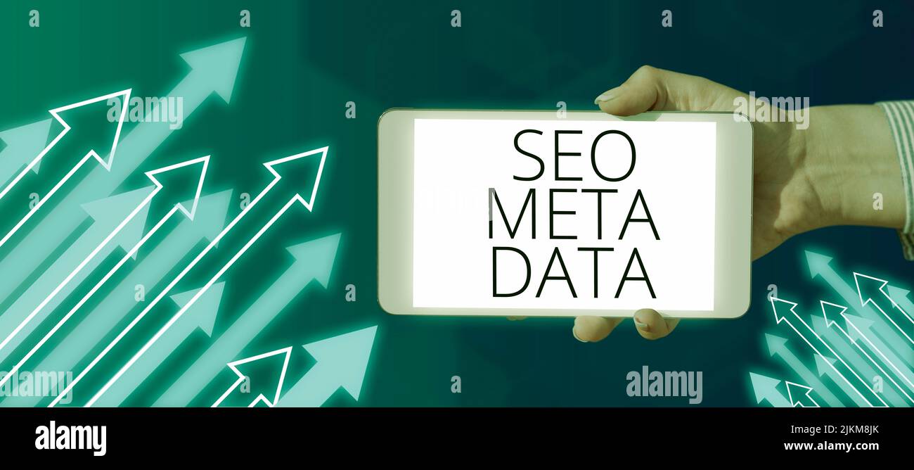 Inspiration showing sign Seo Meta Data. Business concept Search Engine ...