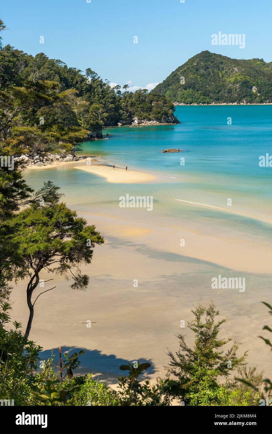Apple Tree Bay Abel Tasman National Park South Island New Zealand Stock Photo - Alamy