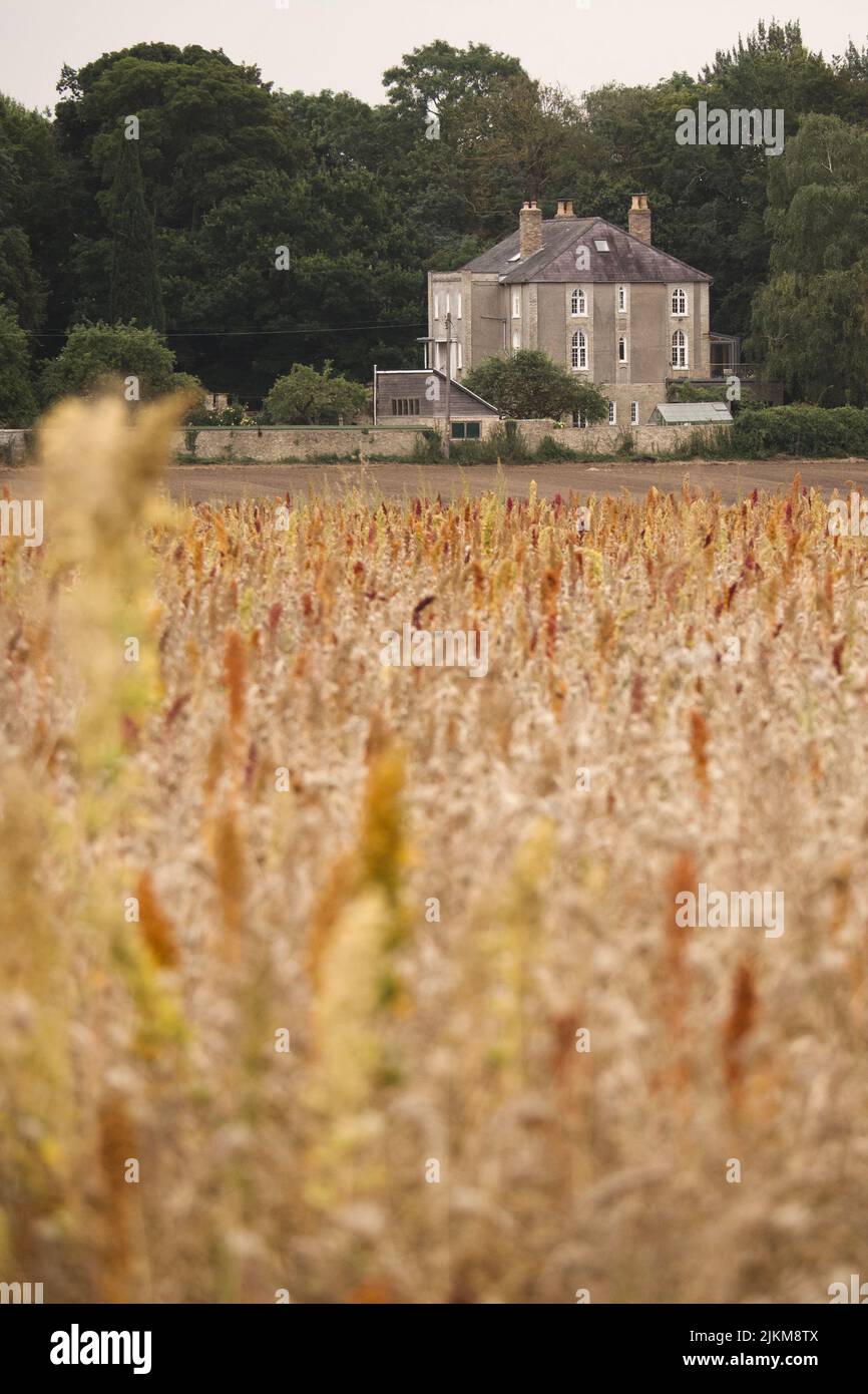 Big house in landscape hi-res stock photography and images - Alamy