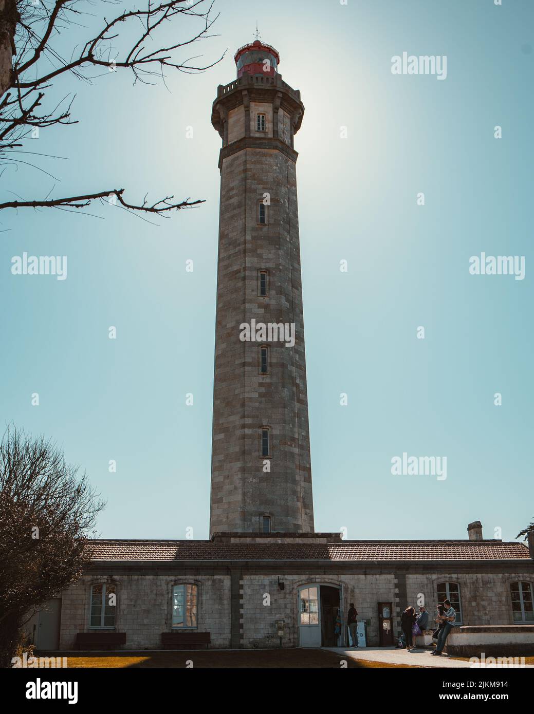 A vertical view of a lighthouse surrounded through tree branches on a ...