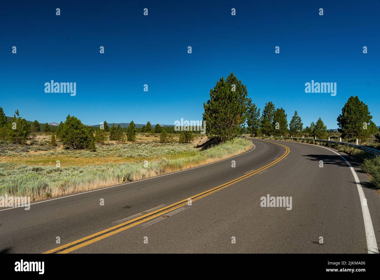 Pine trees in the Sierra Nevada Range of northen California line a ...