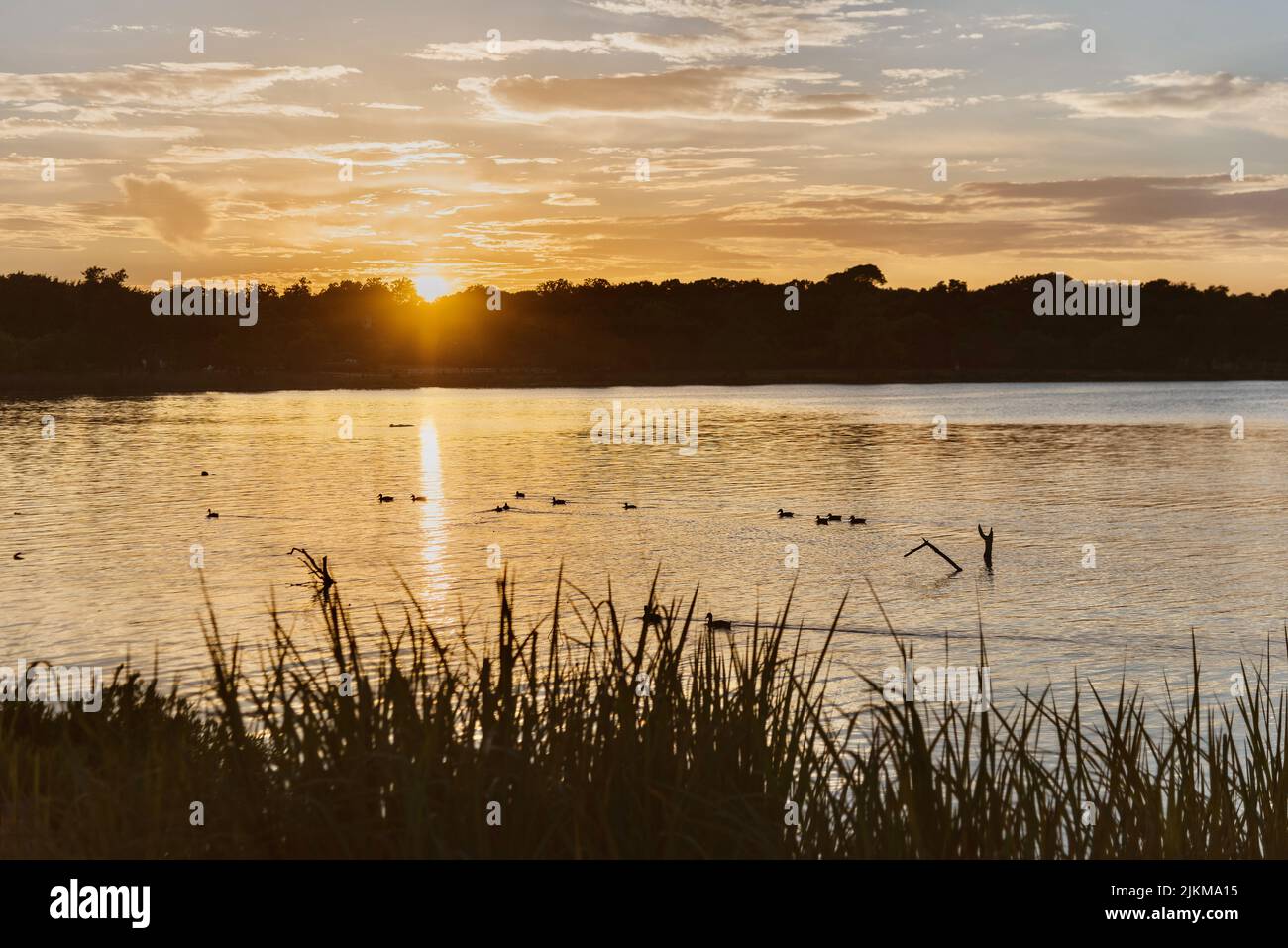 On Golden Pond Stock Photo - Alamy