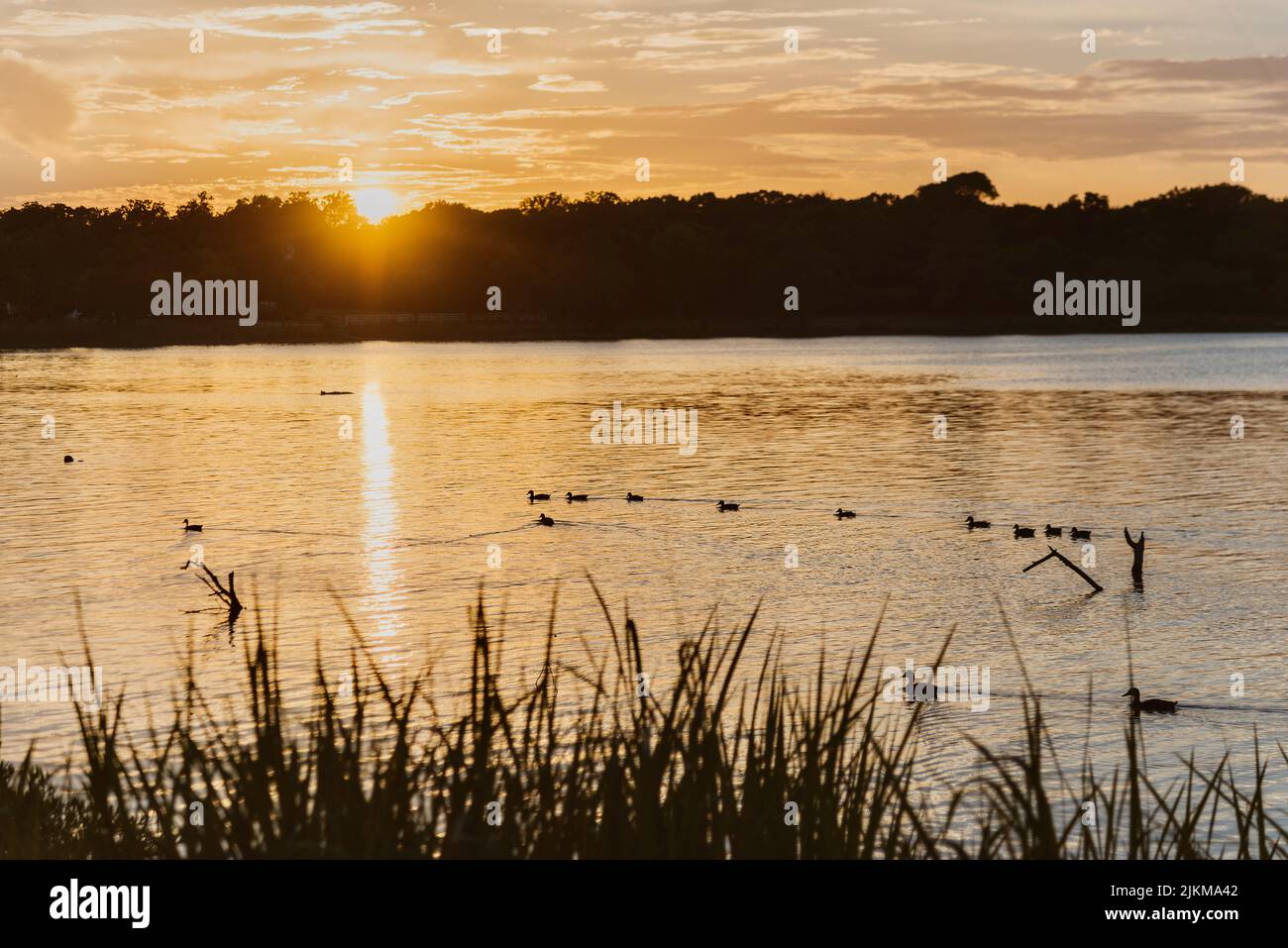 On Golden Pond Stock Photo - Alamy