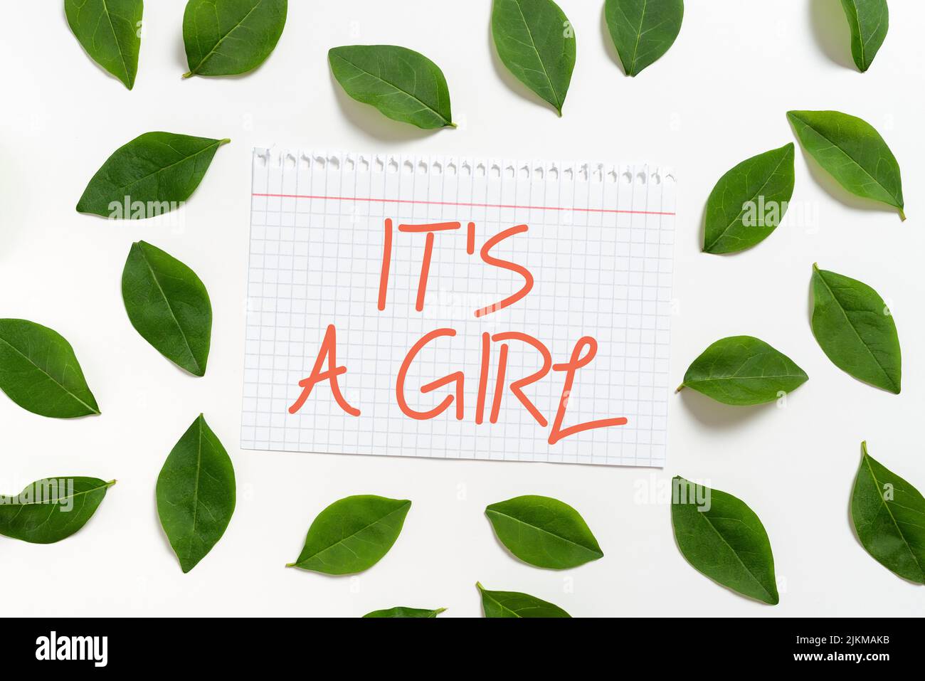 Text caption presenting It S Is A Girl. Internet Concept Expecting a ... Text caption presenting It S Is A Girl. Internet Concept Expecting a ...