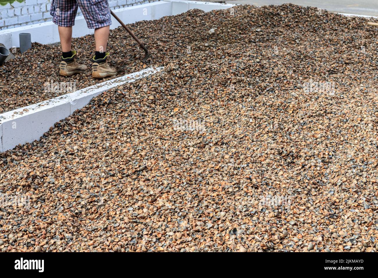 A view of seashells used as construction material Stock Photo - Alamy
