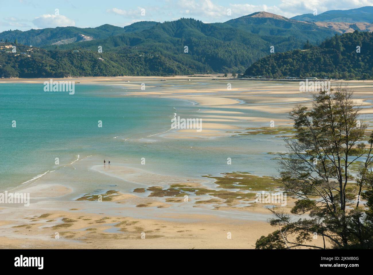 Low tide walk at Marahau Beach in the Abel Tasman National Park South Island New Zealand Stock ...