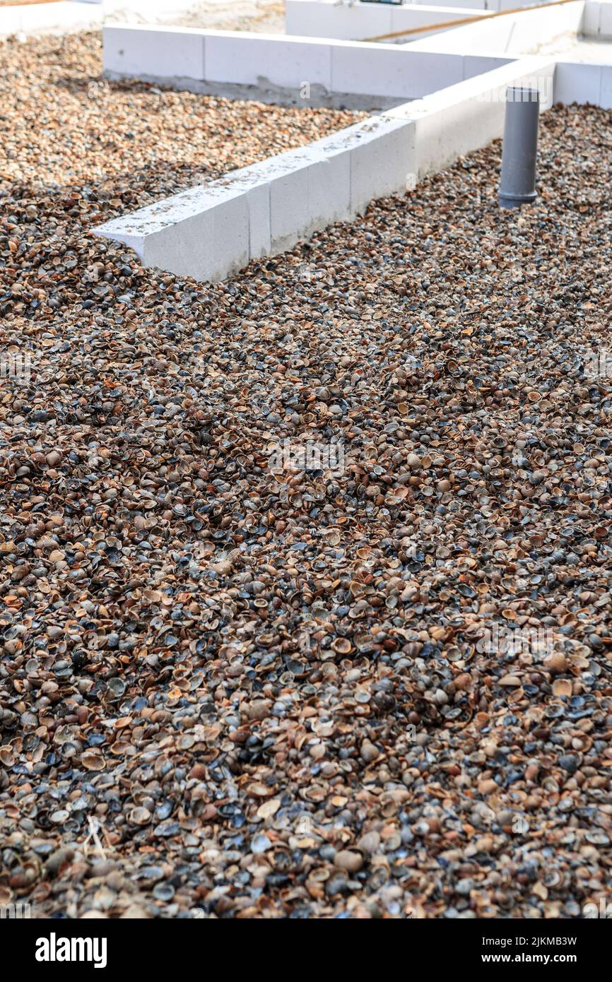A view of seashells used as construction material Stock Photo - Alamy