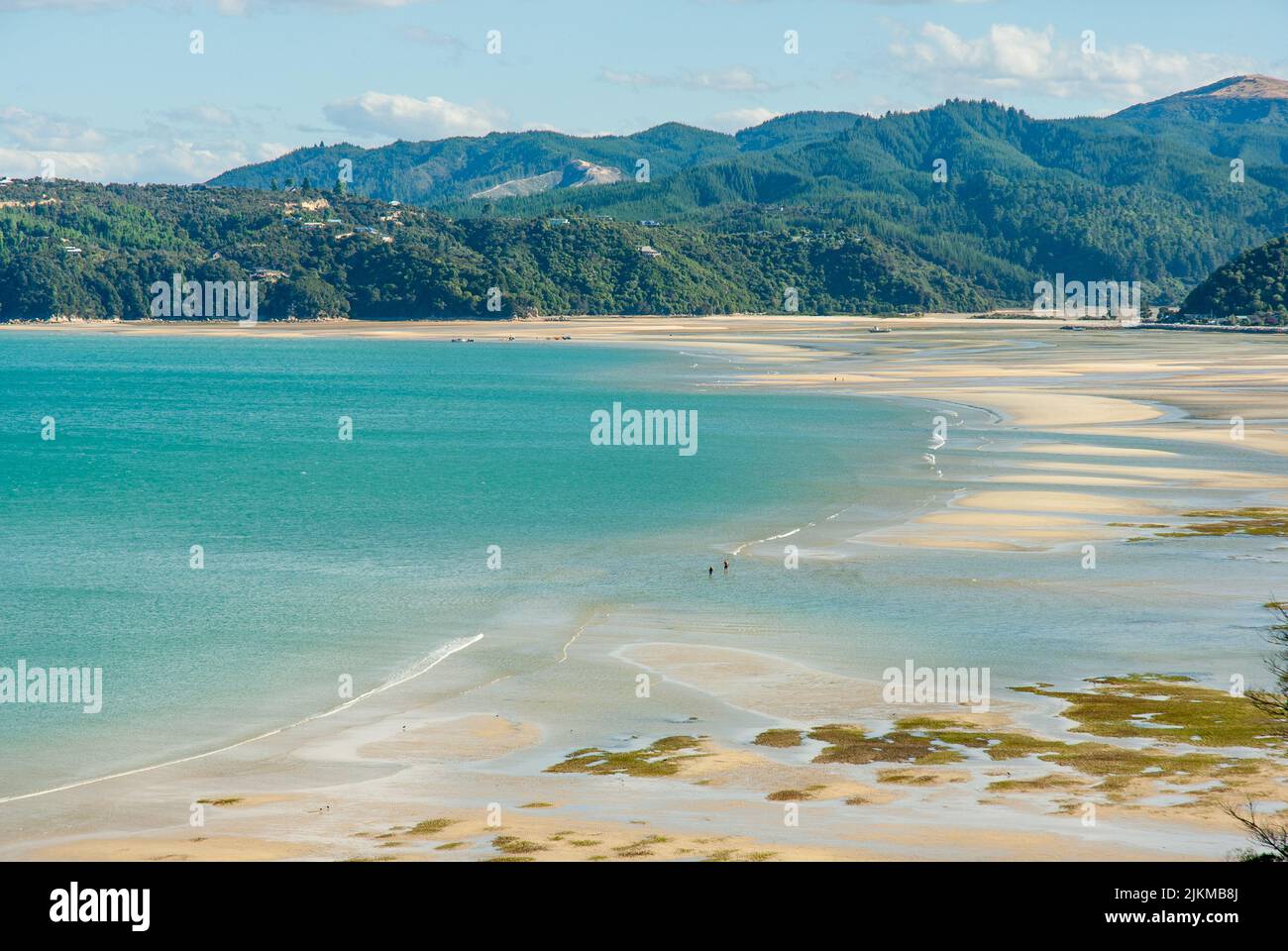 Low tide walk at Marahau Beach in the Abel Tasman National Park South ...