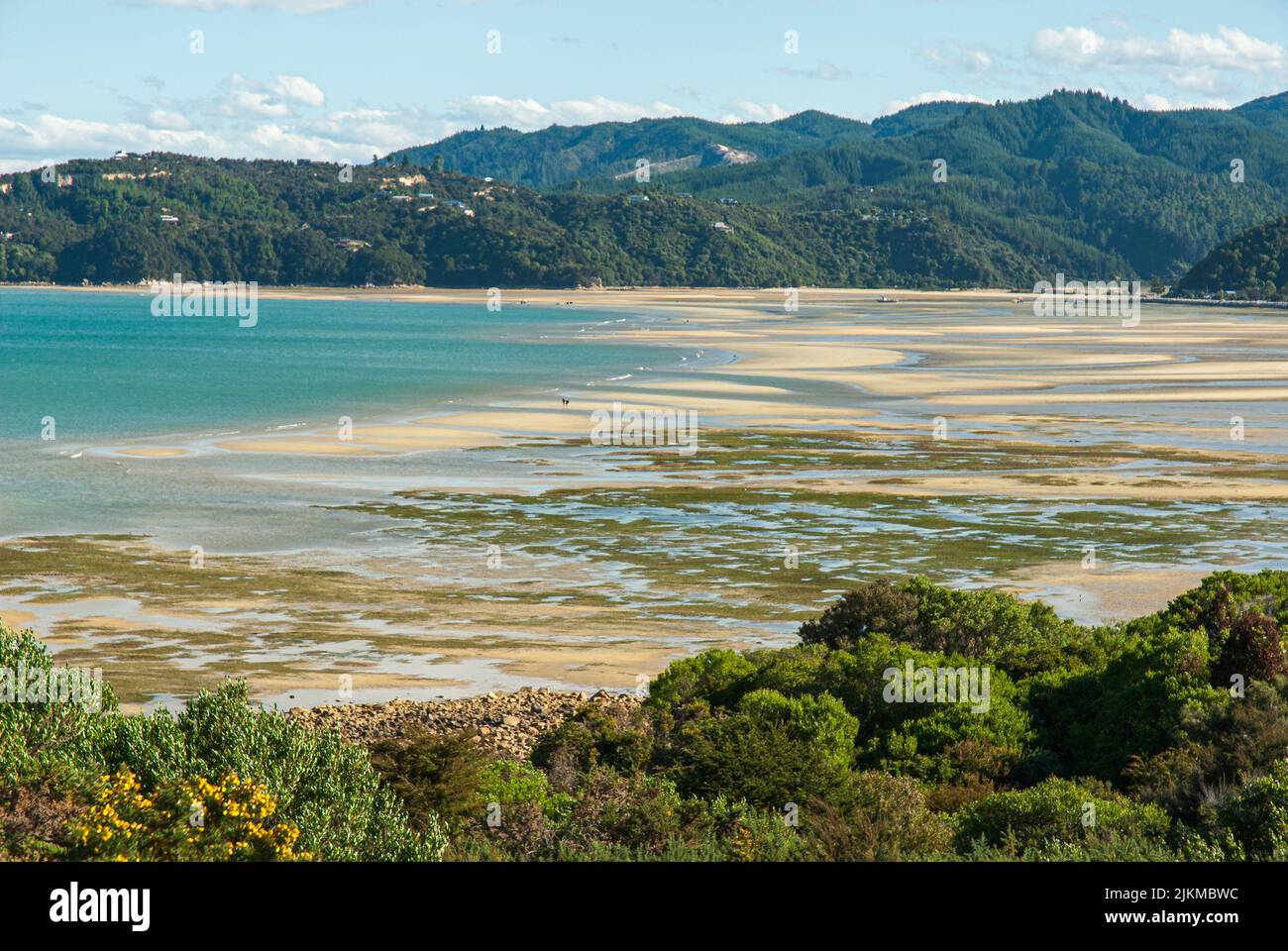 Low tide walk at Marahau Beach in the Abel Tasman National Park South ...