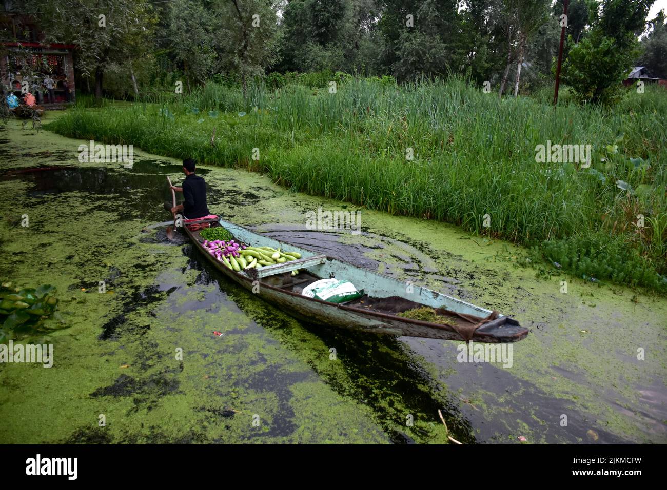 A Kashmiri man rows a boat ferrying vegetables in the depth of Dal lake ...