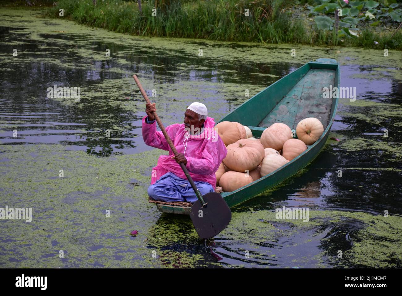 A Kashmiri man rows a boat ferrying vegetables in the depth of Dal lake ...