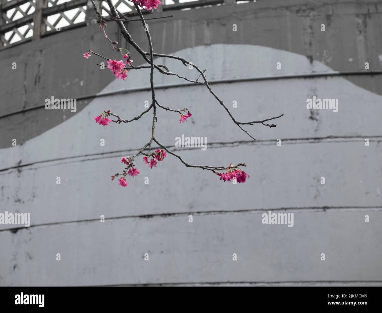 Wall spring hi-res stock photography and images - Alamy