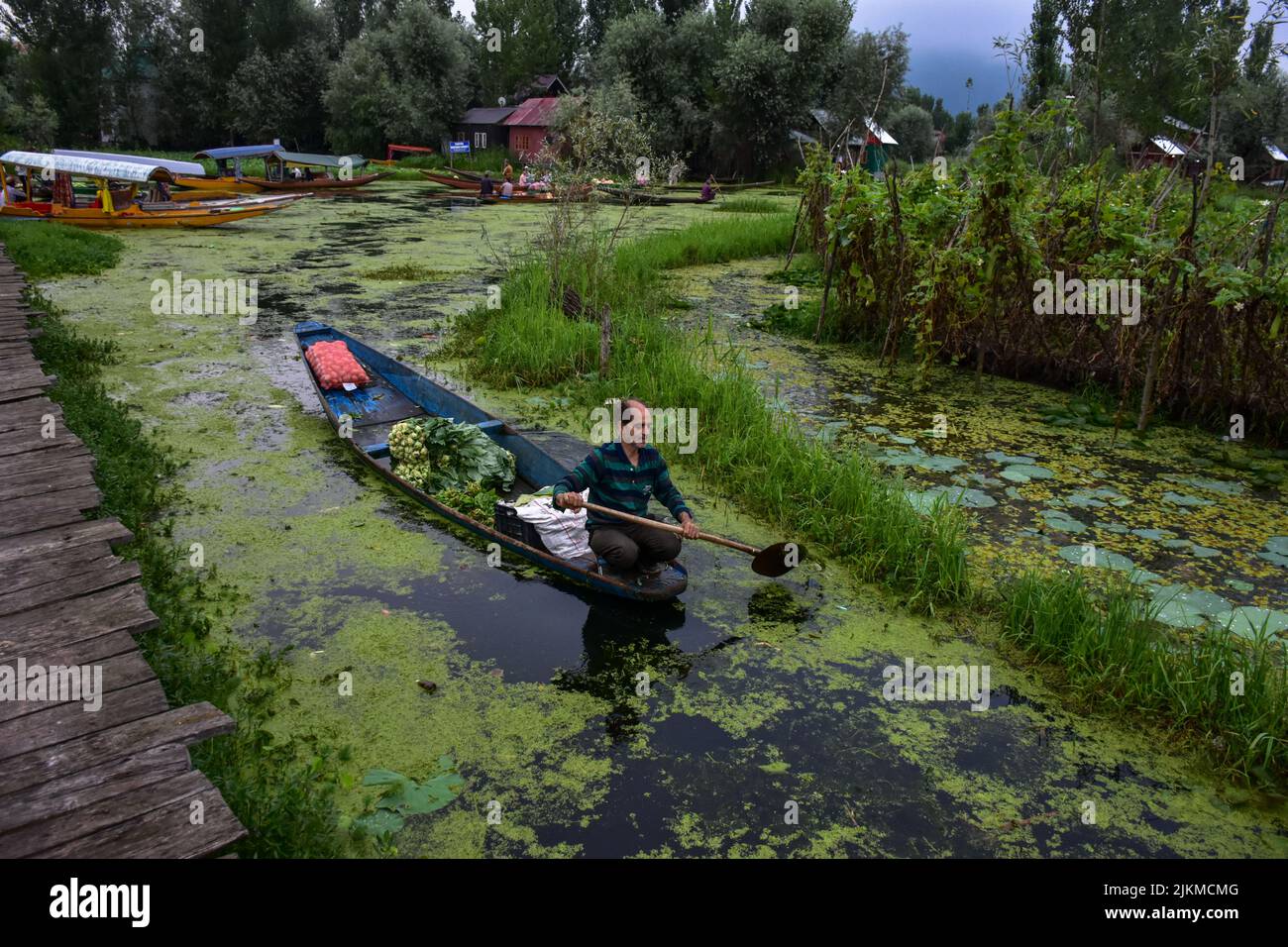 A vendor arrives at the floating vegetable-market in the depth of Dal ...