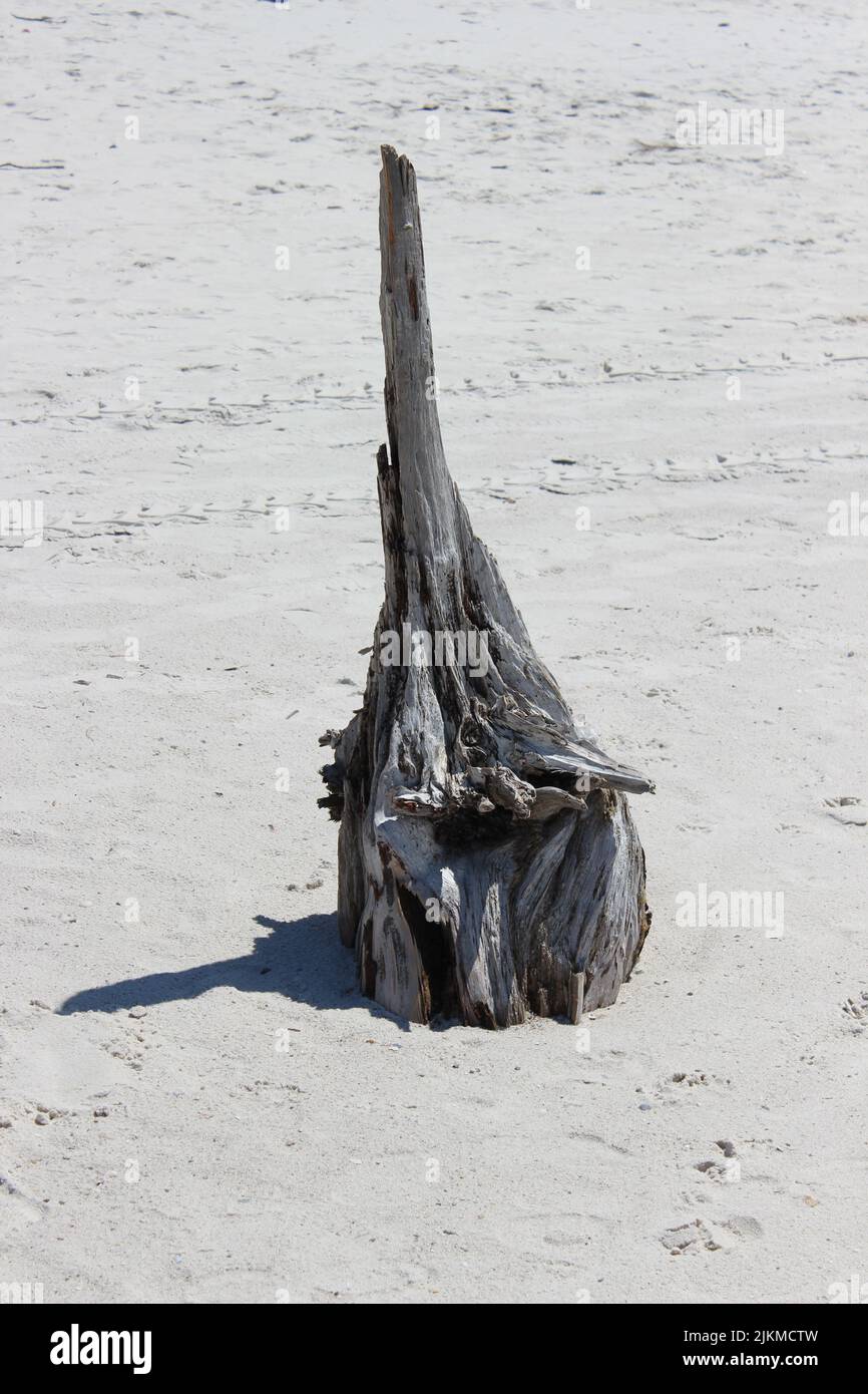 Stump coast hi-res stock photography and images - Alamy