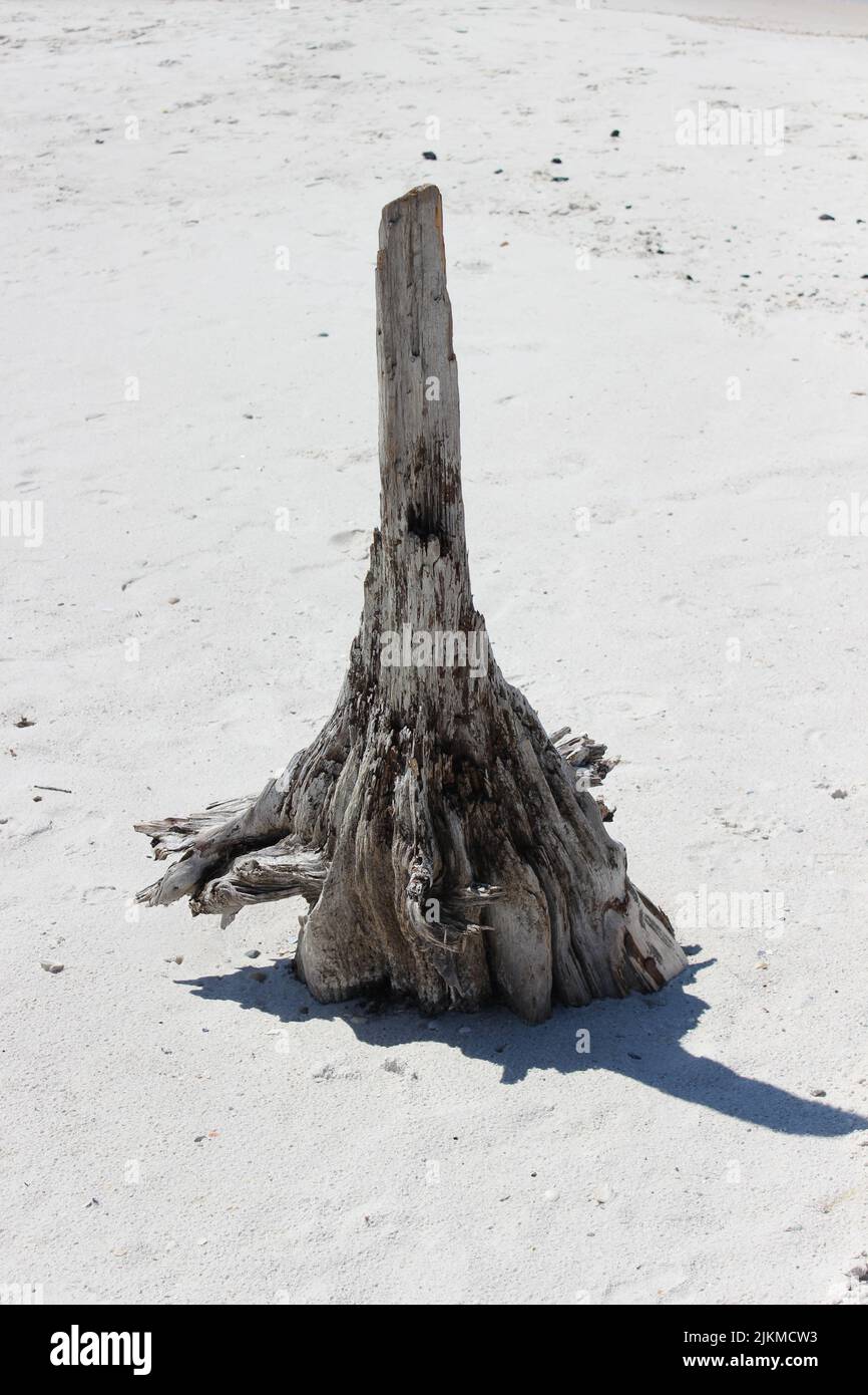 Stump sand hi-res stock photography and images - Alamy