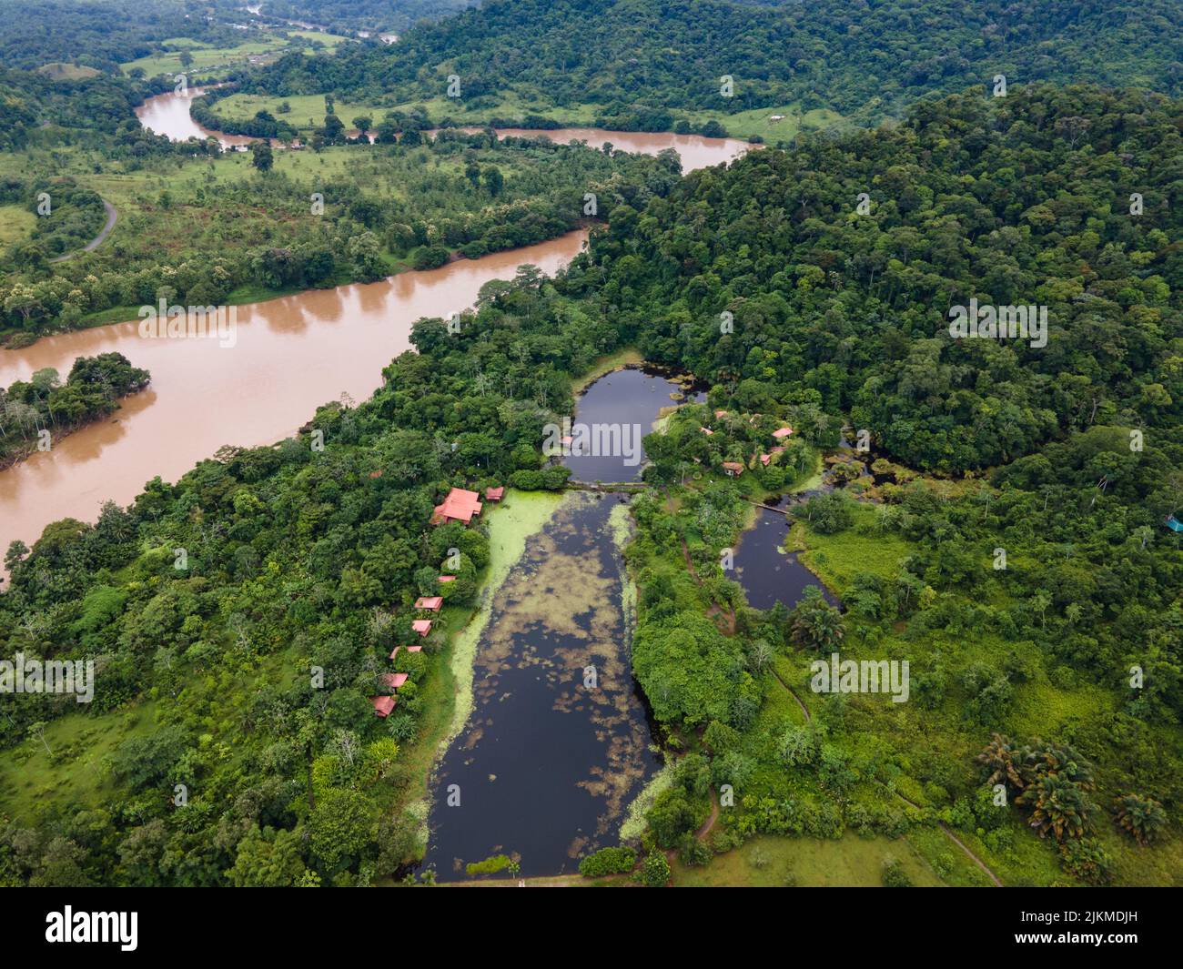 The beautiful aerial view of the river surrounded by green forest. Boca ...