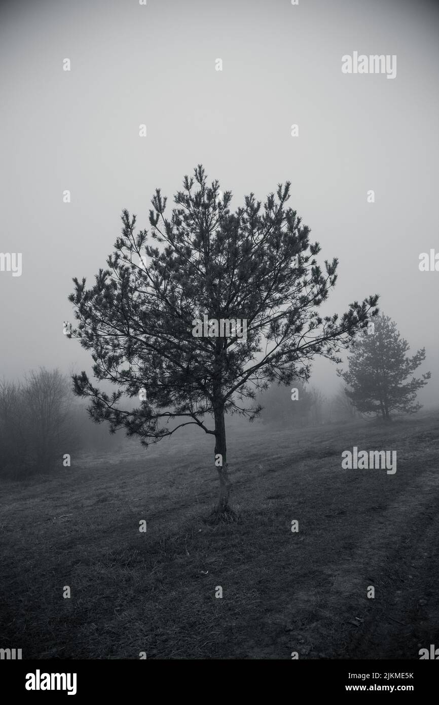 Scary field hi-res stock photography and images - Alamy