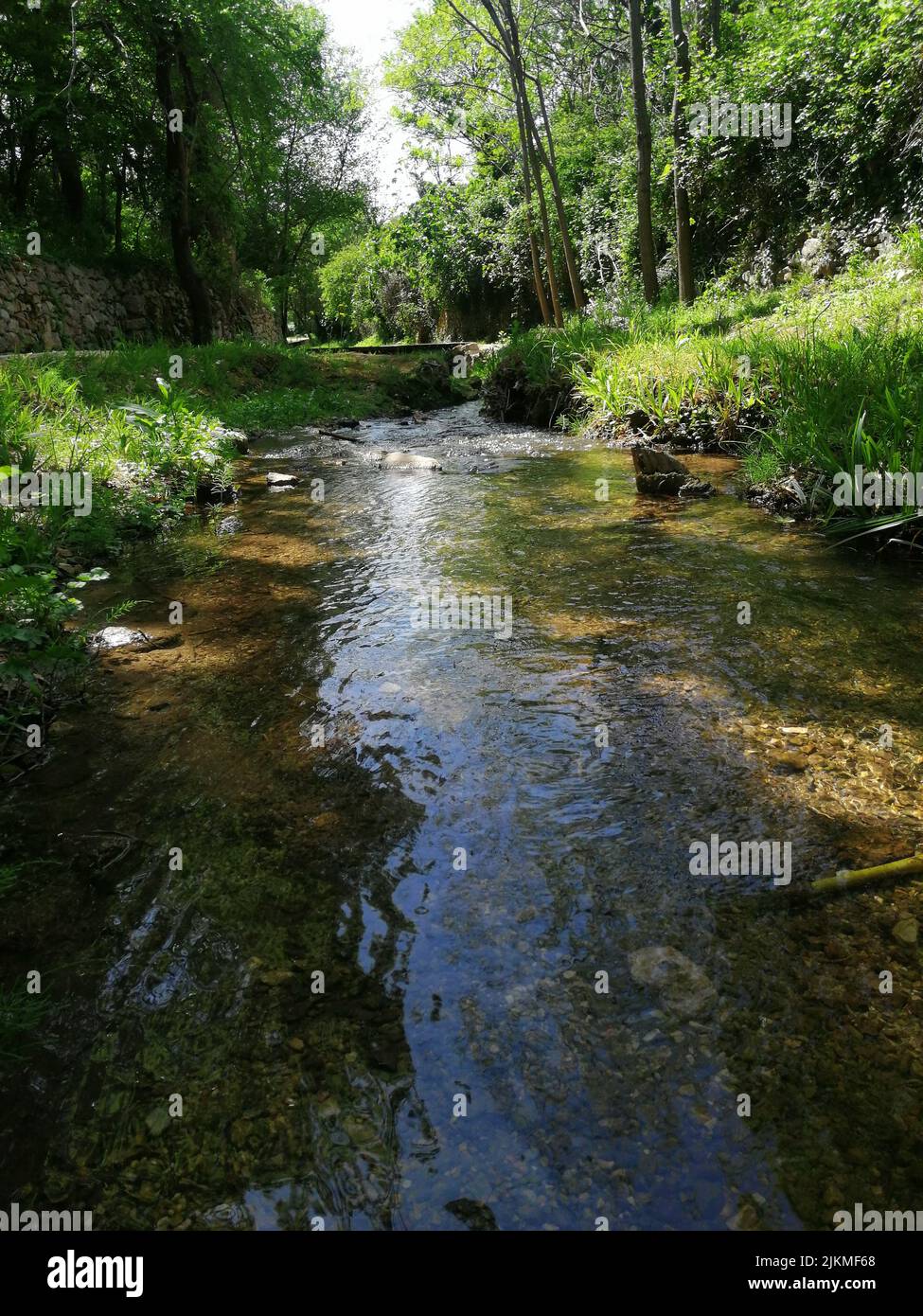 River surrounded by greenery hi-res stock photography and images - Alamy