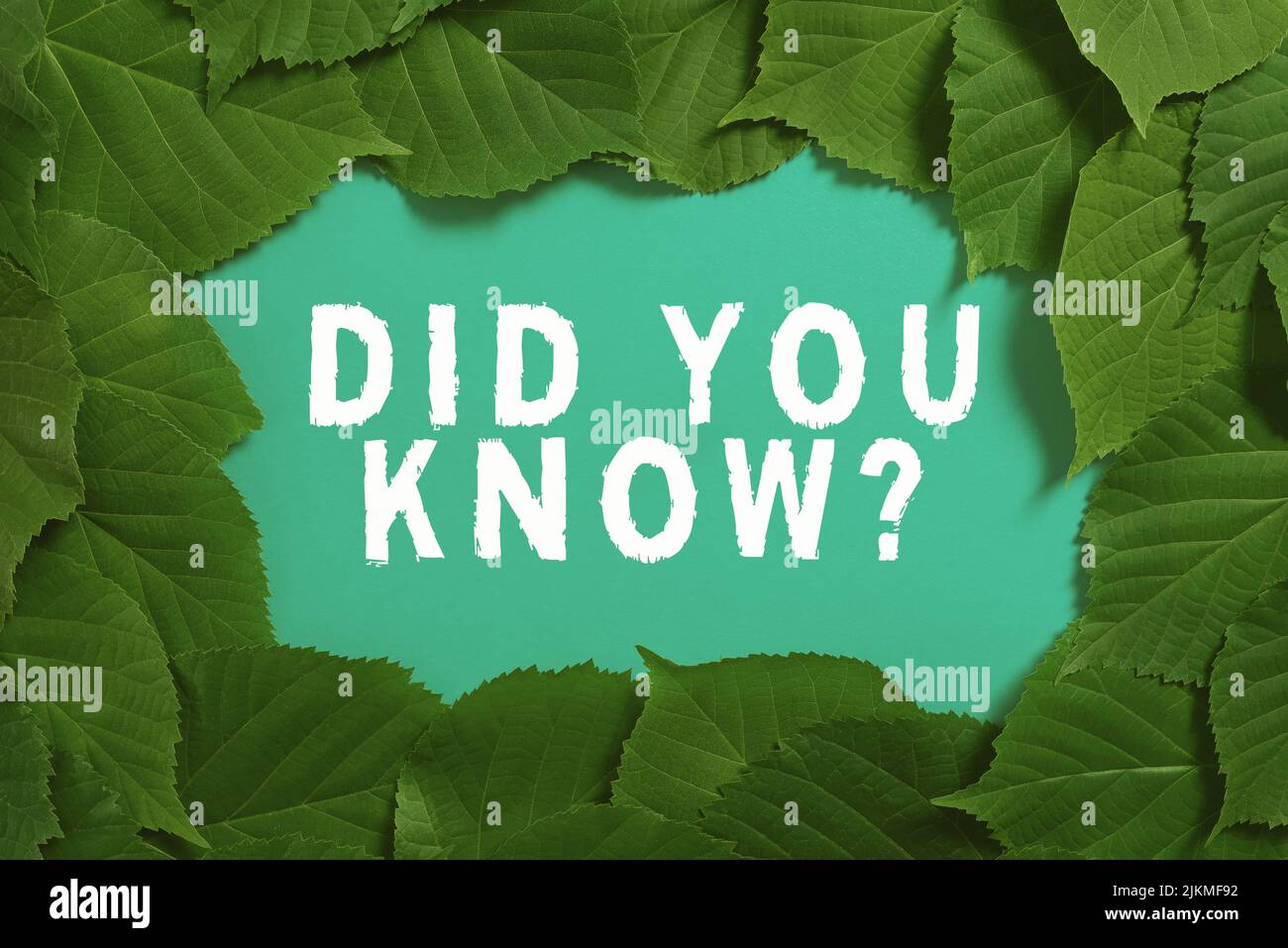 Hand writing sign Did You Know Question. Business overview Fun Facts ...