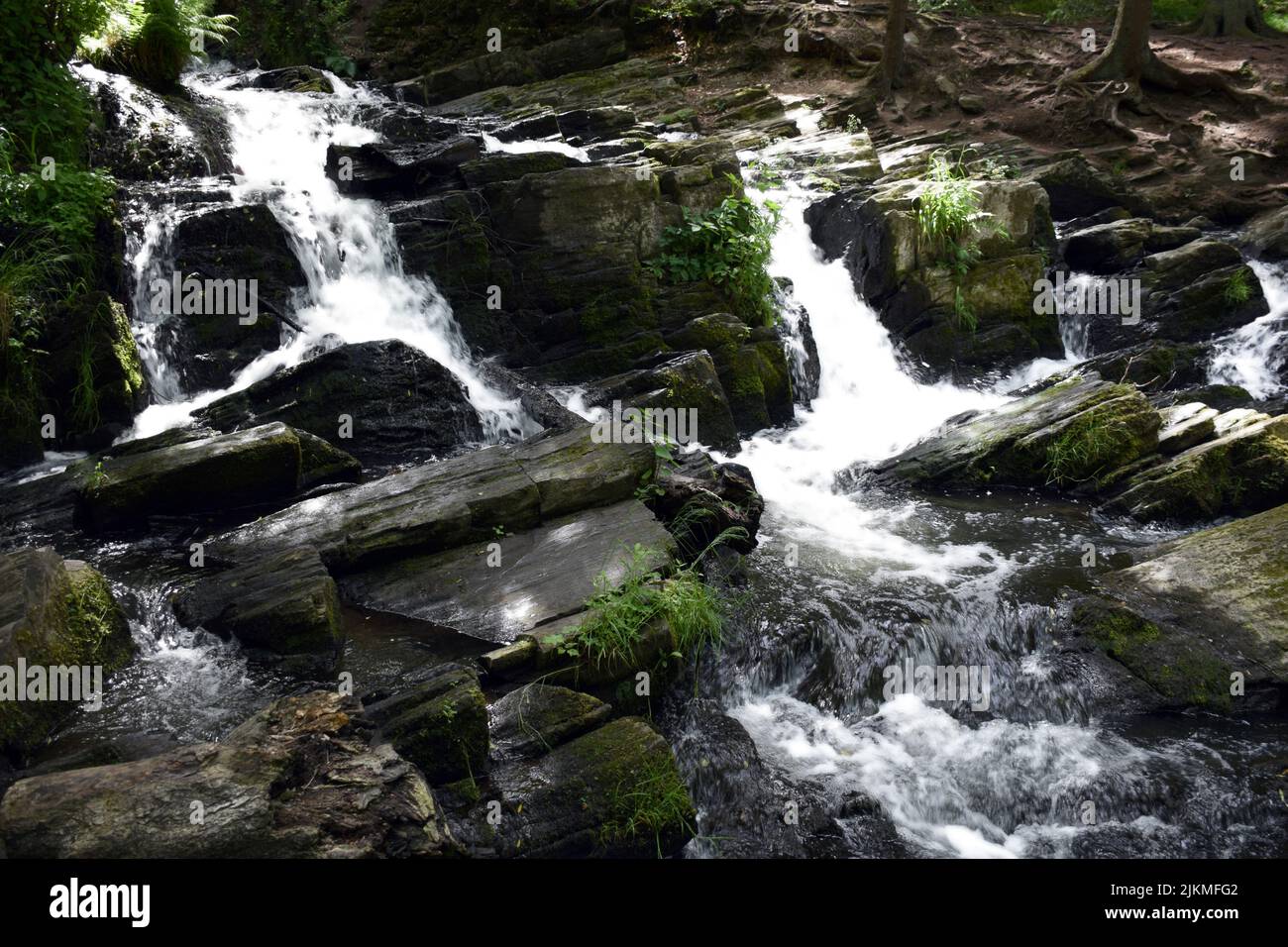 A natural view of water flowing on a rocky river in a forest Stock ...