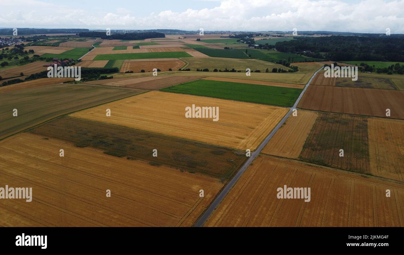 An aerial view of trees and agricultural fields in the countryside ...