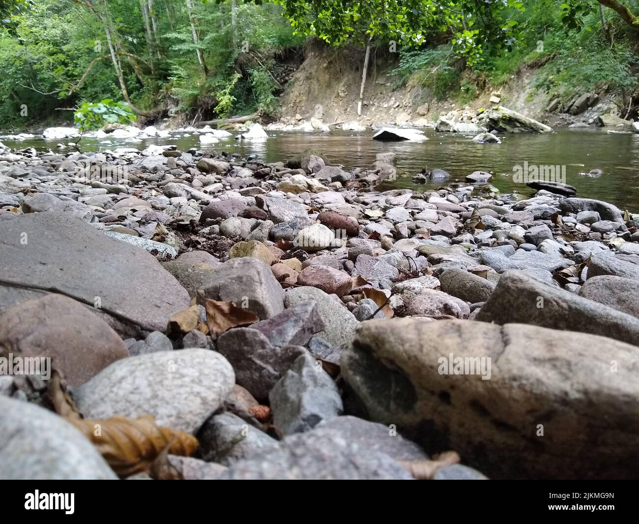 Green river bank grass hi-res stock photography and images - Alamy