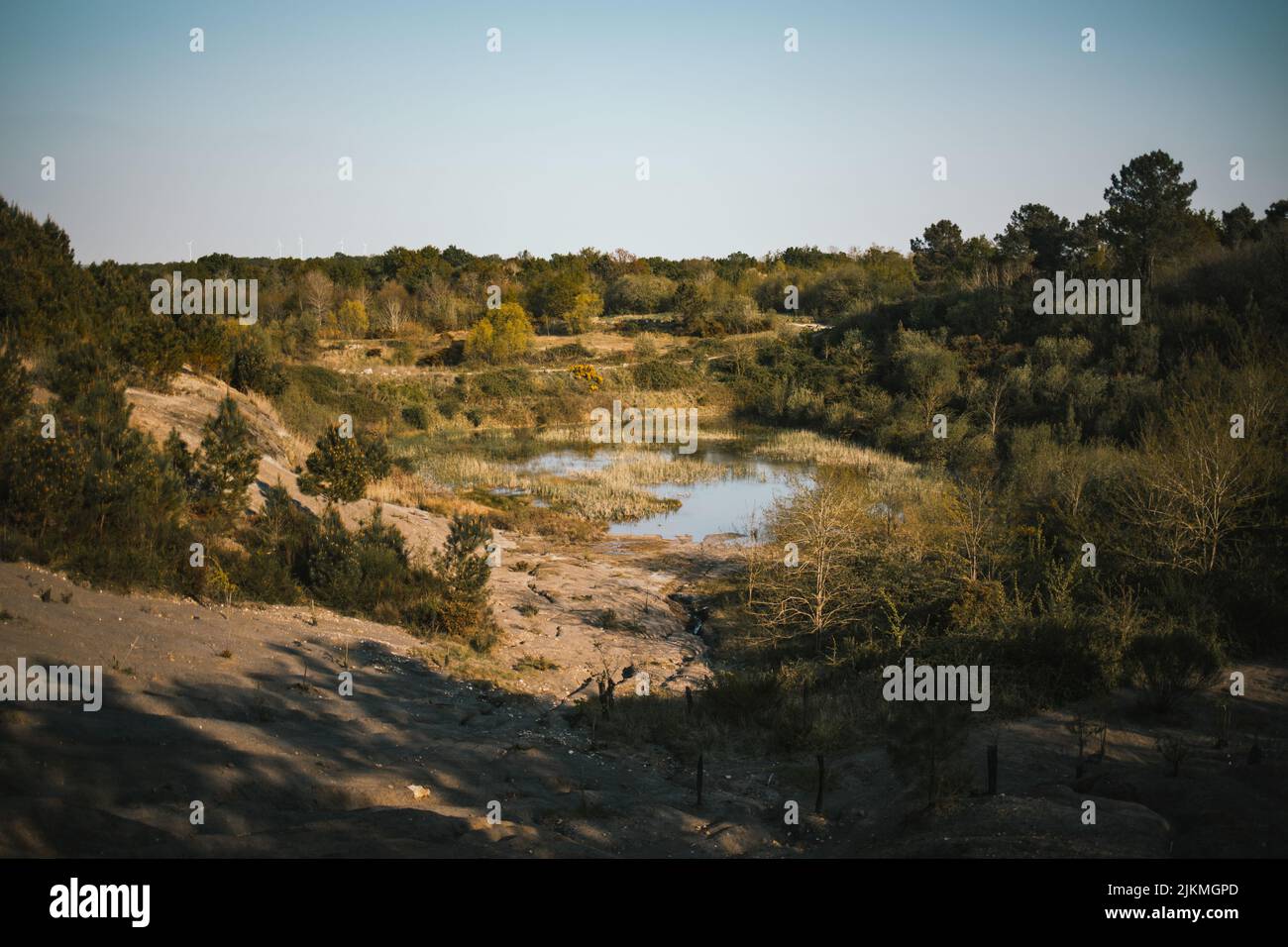 A beautiful landscape view with high green trees and a small wetland in ...
