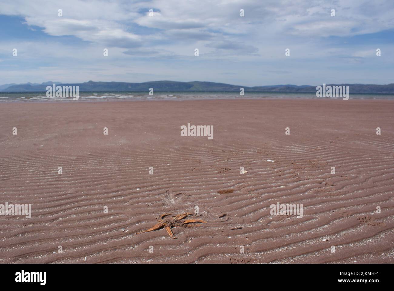A sunny beach in Scotland with a starfish on sand Stock Photo - Alamy
