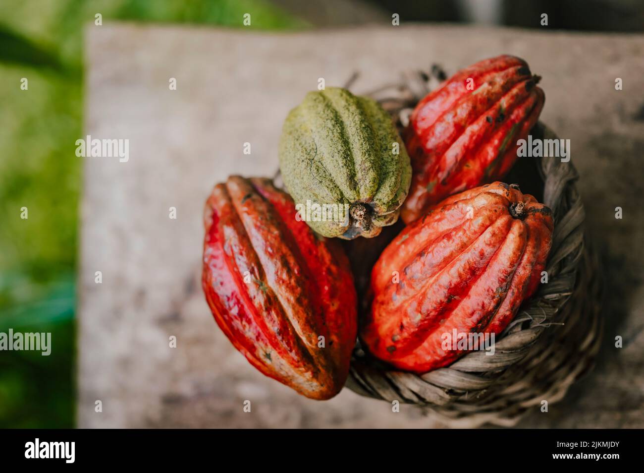 Cacao farm costa rica hi-res stock photography and images - Alamy