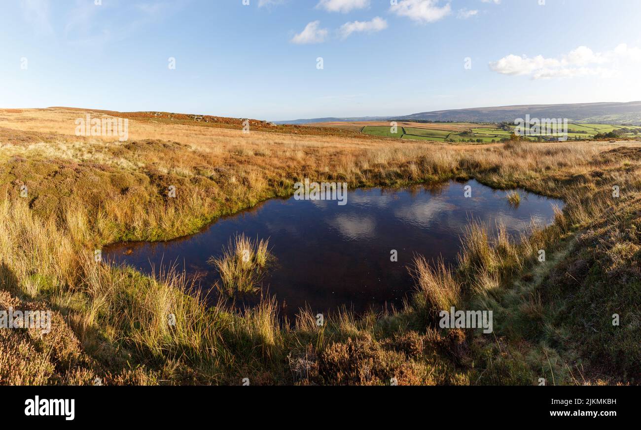 Yorkshire water plant hi-res stock photography and images - Alamy