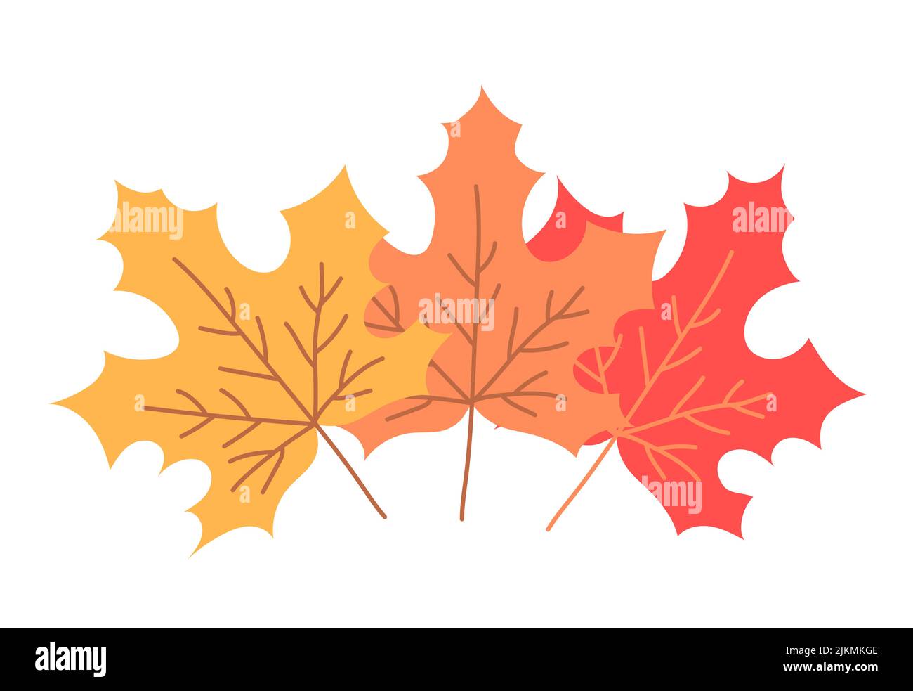 Small Fall Leaves Cartoon