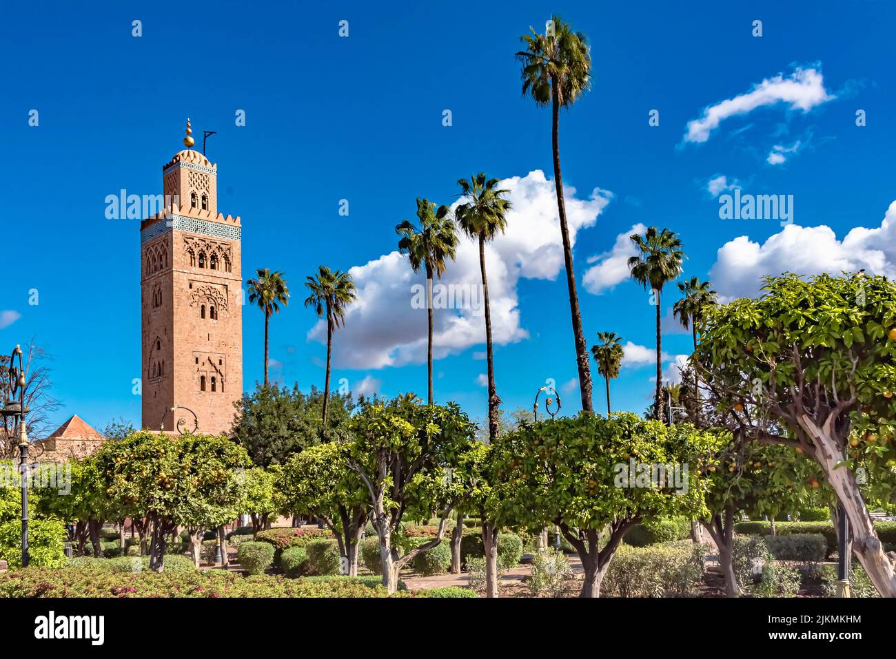 Mosque behind trees hi-res stock photography and images - Alamy
