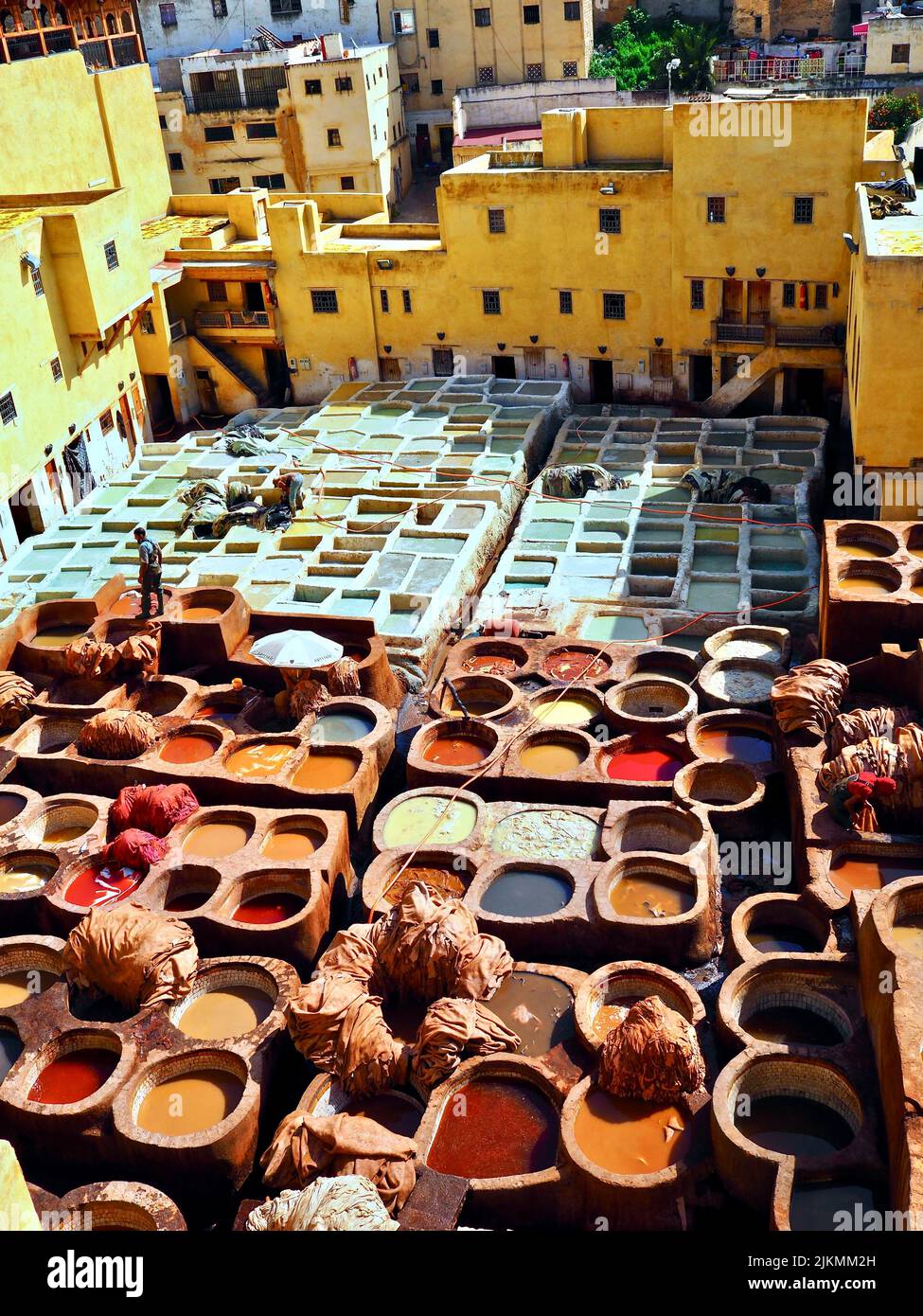 Vertical camel hi-res stock photography and images - Alamy