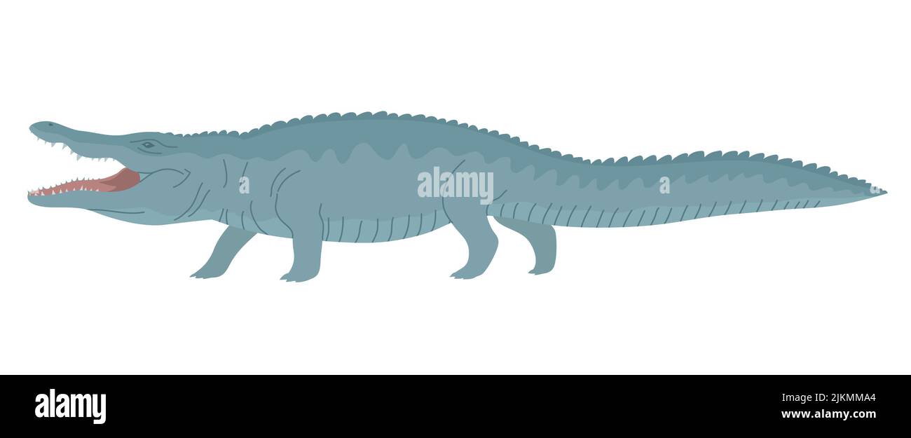 Human Vector The Crocodile