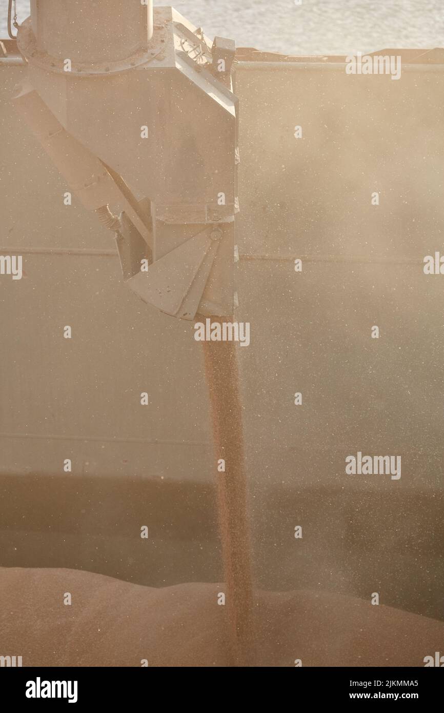 loading corn onto a bulk carrier ship in the port at the grain terminal ...