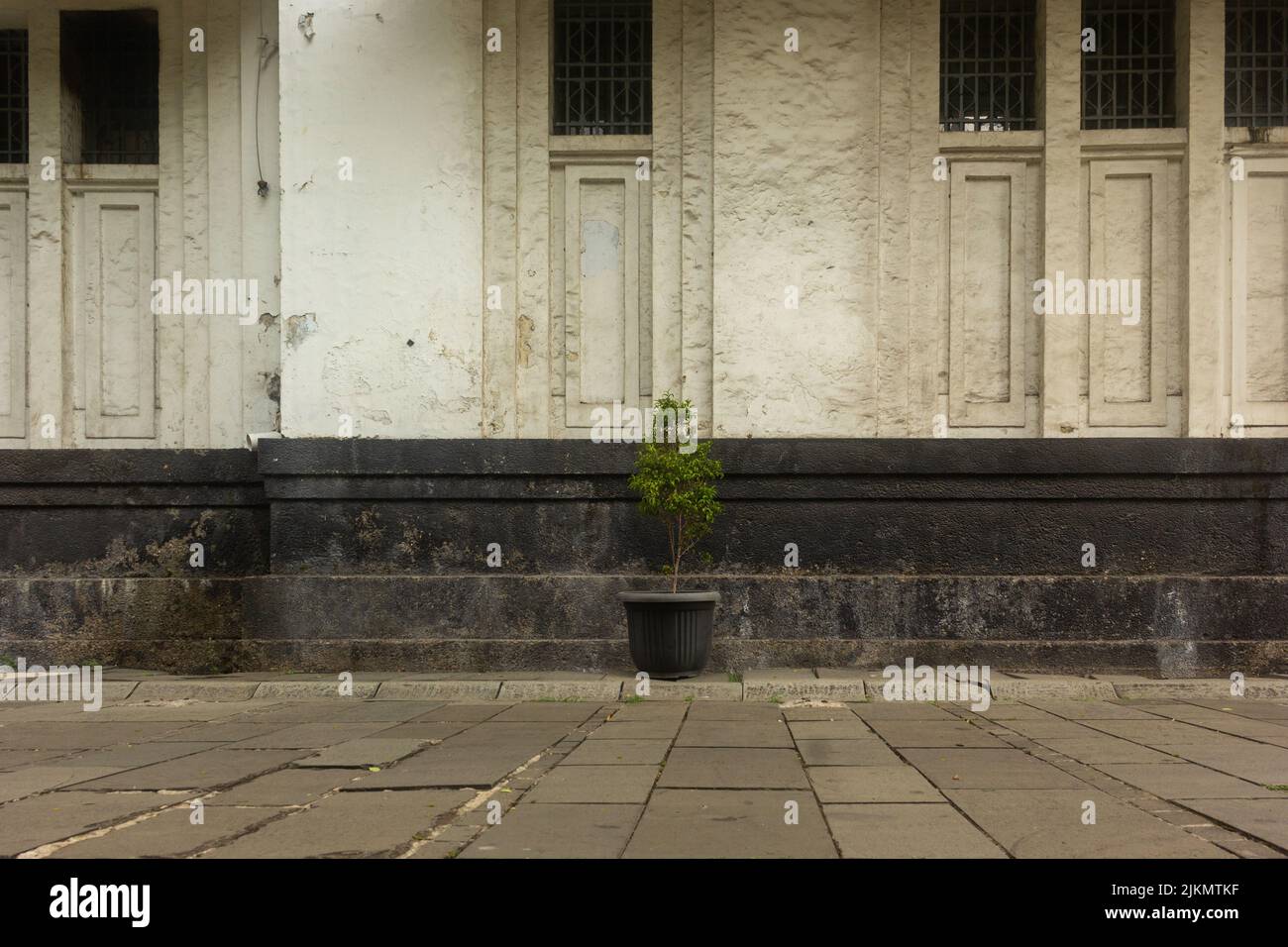 Plant building architecture hi-res stock photography and images - Alamy