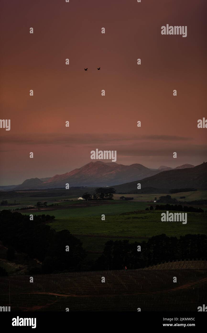 A vertical shot of a country landscape under a red sunset sky with two ...