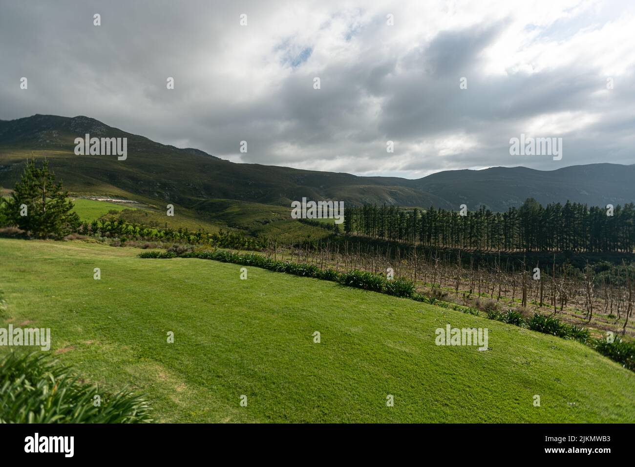 A country landscape with a wine field in Cape Town, South Africa Stock ...